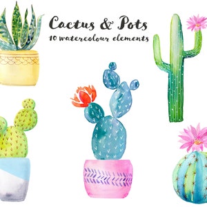 Cactus and Pots Watercolor Clipart: set of 10 elements. | Etsy