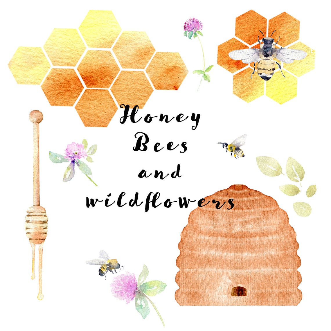 Watercolor Honey Clipart: Bees, Wildflowers, Honeycomb, Drips, Beehive ...