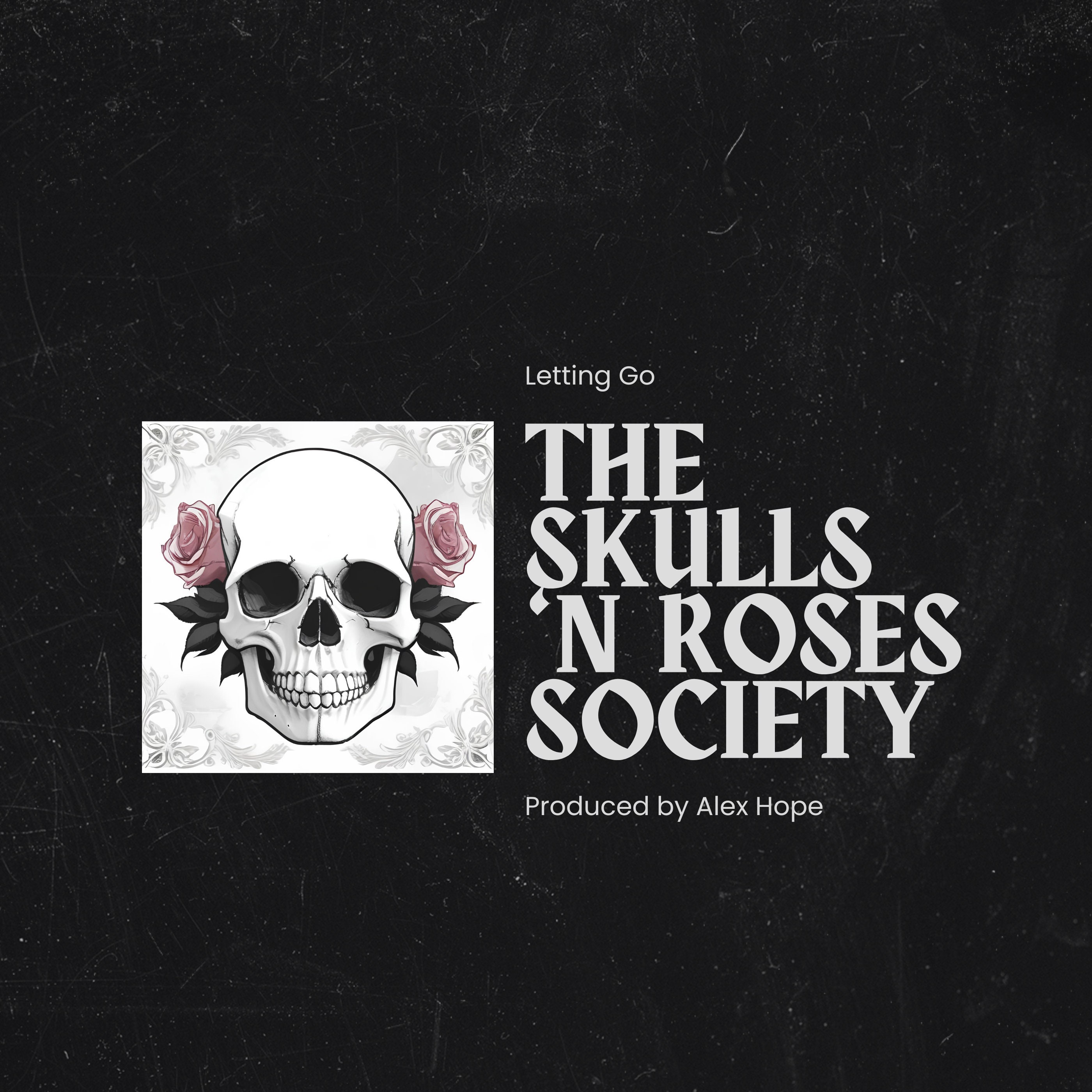 DIY Rockstar: Create Your Signature Album Covers With Our 10 Pack of ...