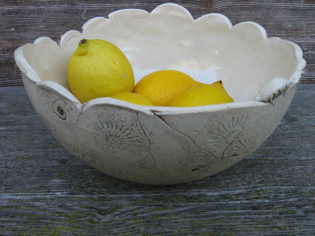 Ceramic Fruit Bowl Ammonite Plant Bowl 19 Cm - Etsy