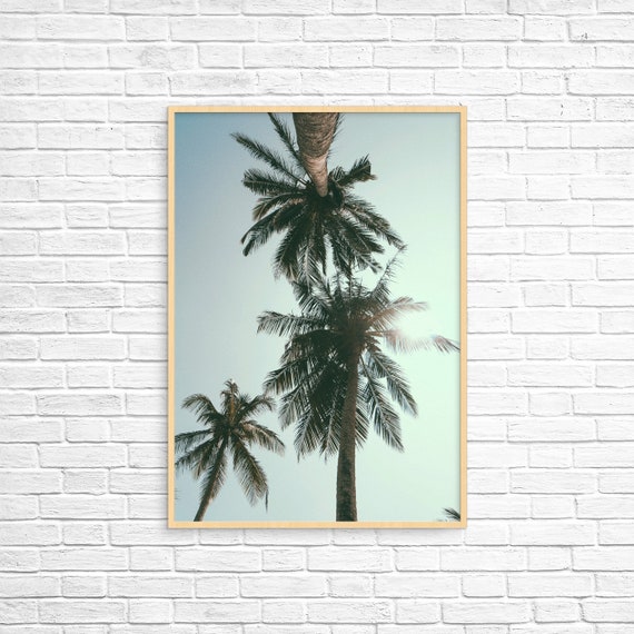 Palmen Poster Palmen Poster Tropischer Druck druckbare | Etsy