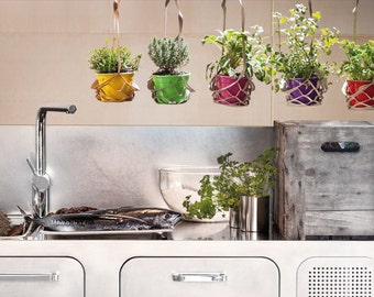 Bottle Holder With Single Vinstrip Flower - Etsy