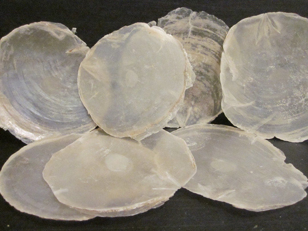 15 Capiz Shell Discs 10 Cm - Etsy