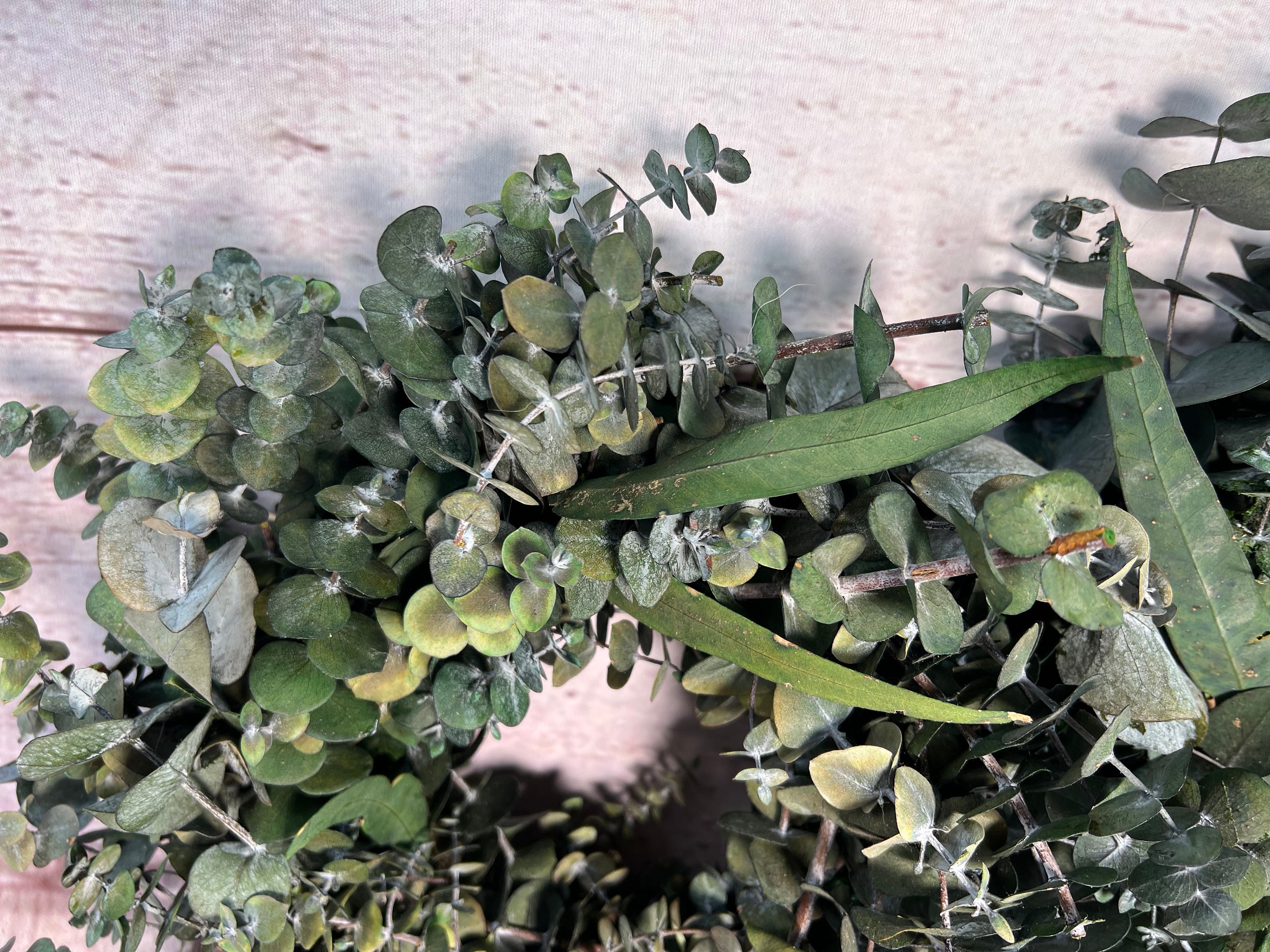 Türkranz Eukalyptus Euka Mix Tischdeko Wanddeko Türschmuck - Etsy.de