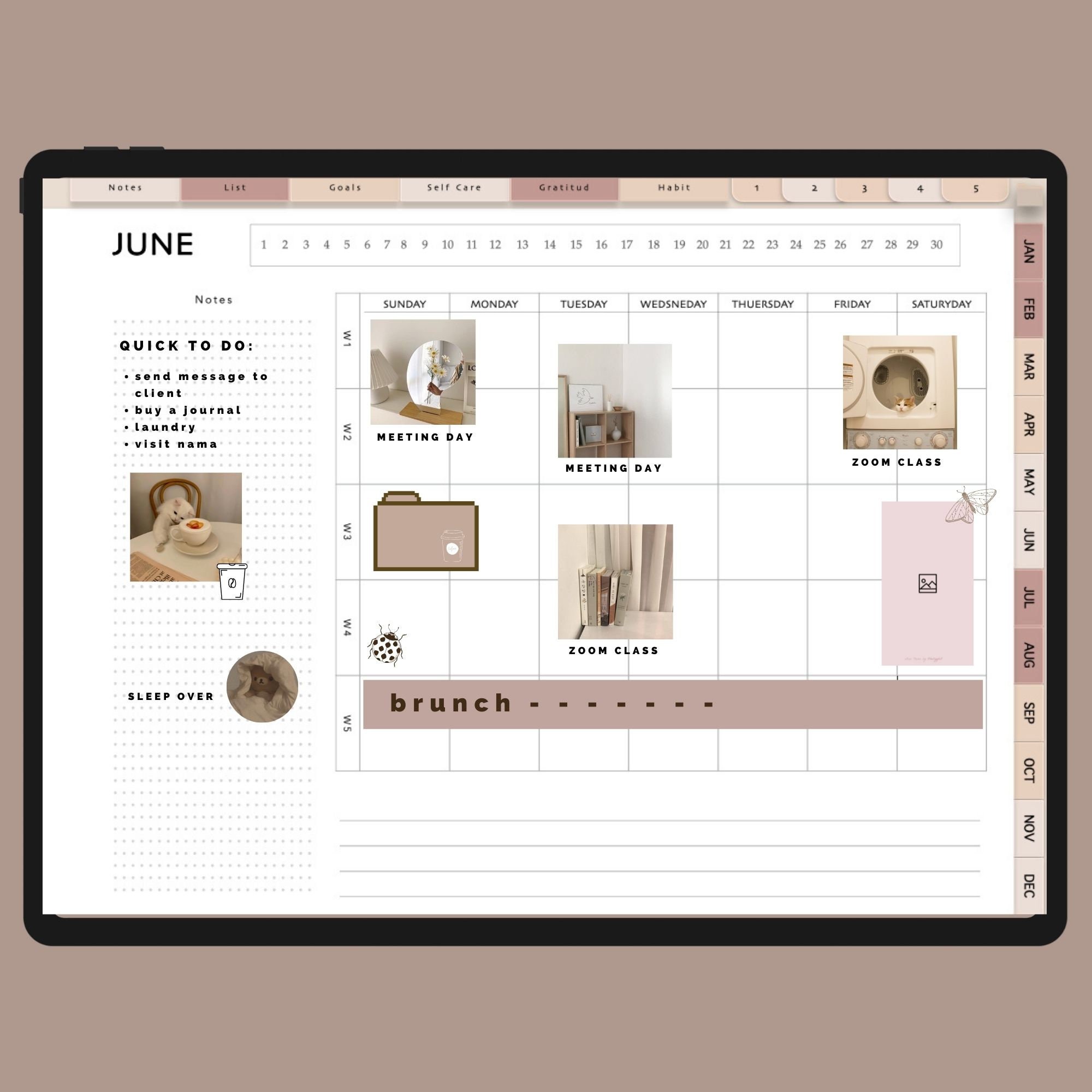 Goodnotes Planner Notability Planner Digital Planner | Etsy