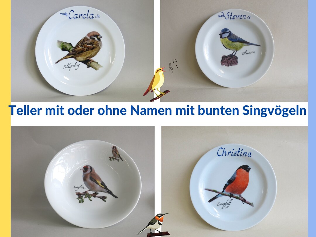 Beautiful Songbirds on Porcelain Plates for All Meals With or Without ...