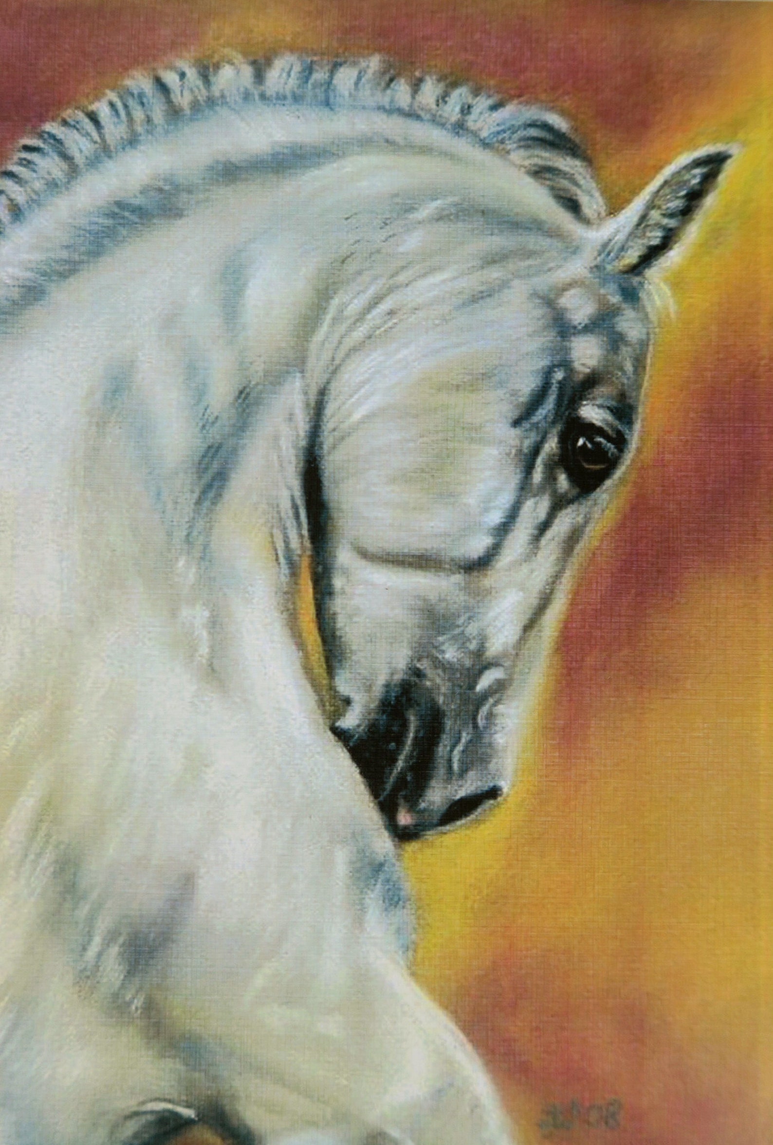Graceful Lipizzaner horse white pastel art print lipizzan | Etsy