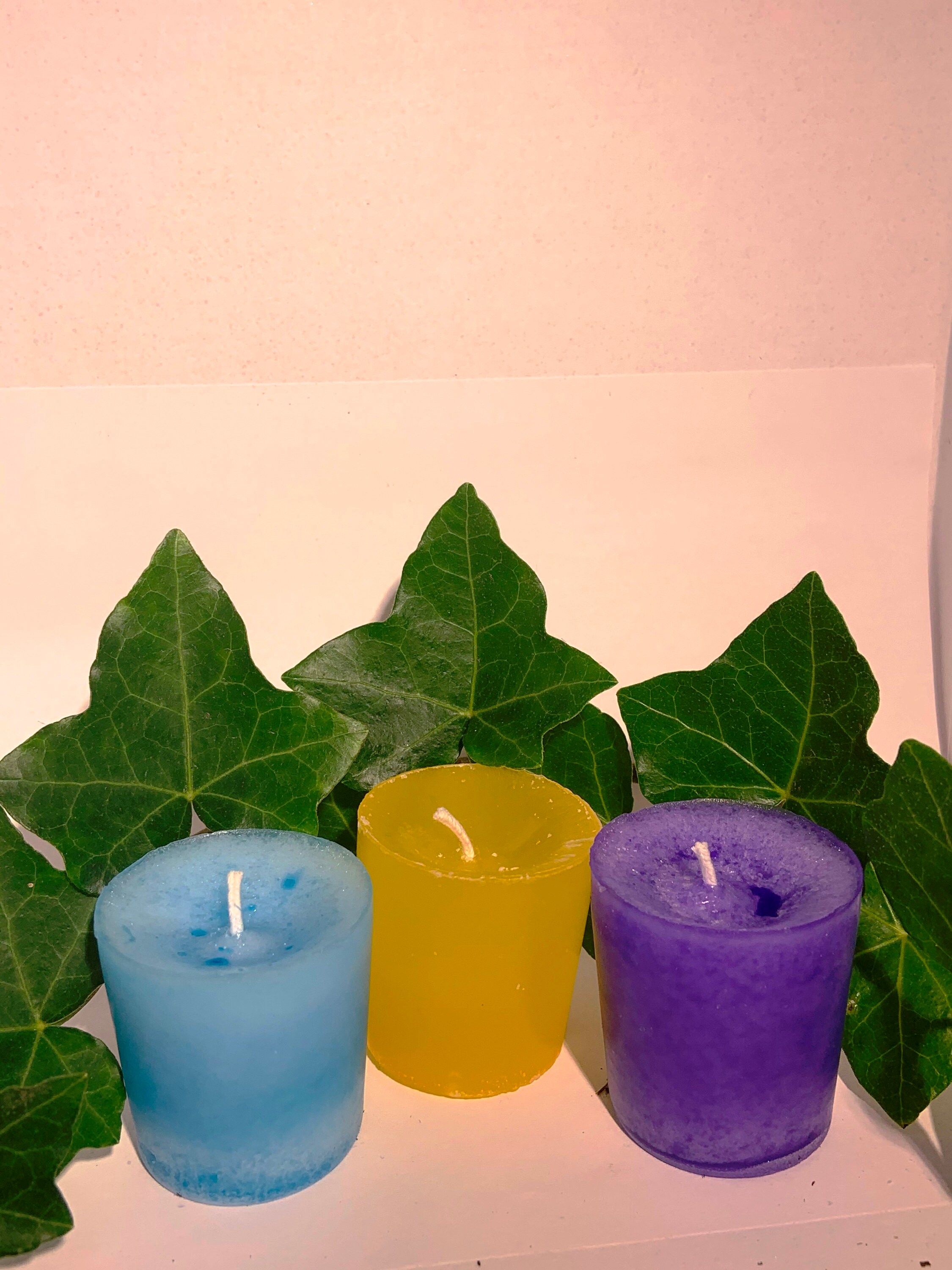 Vriend Lizard Jungle Rain Karakter Candle Fandom - Etsy Nederland