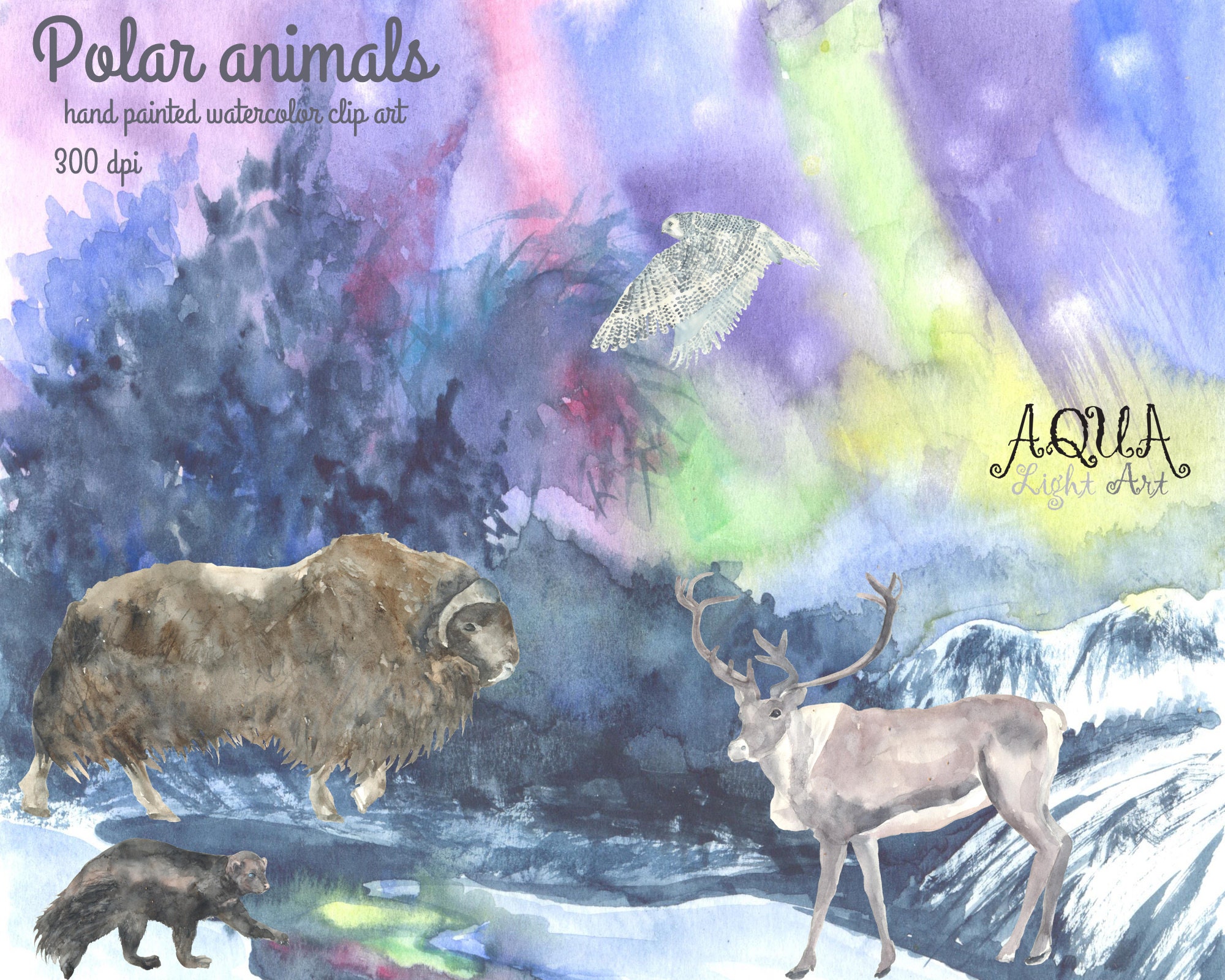 Watercolor Clipart Hand Painted Polar Animalspolar Bear - Etsy