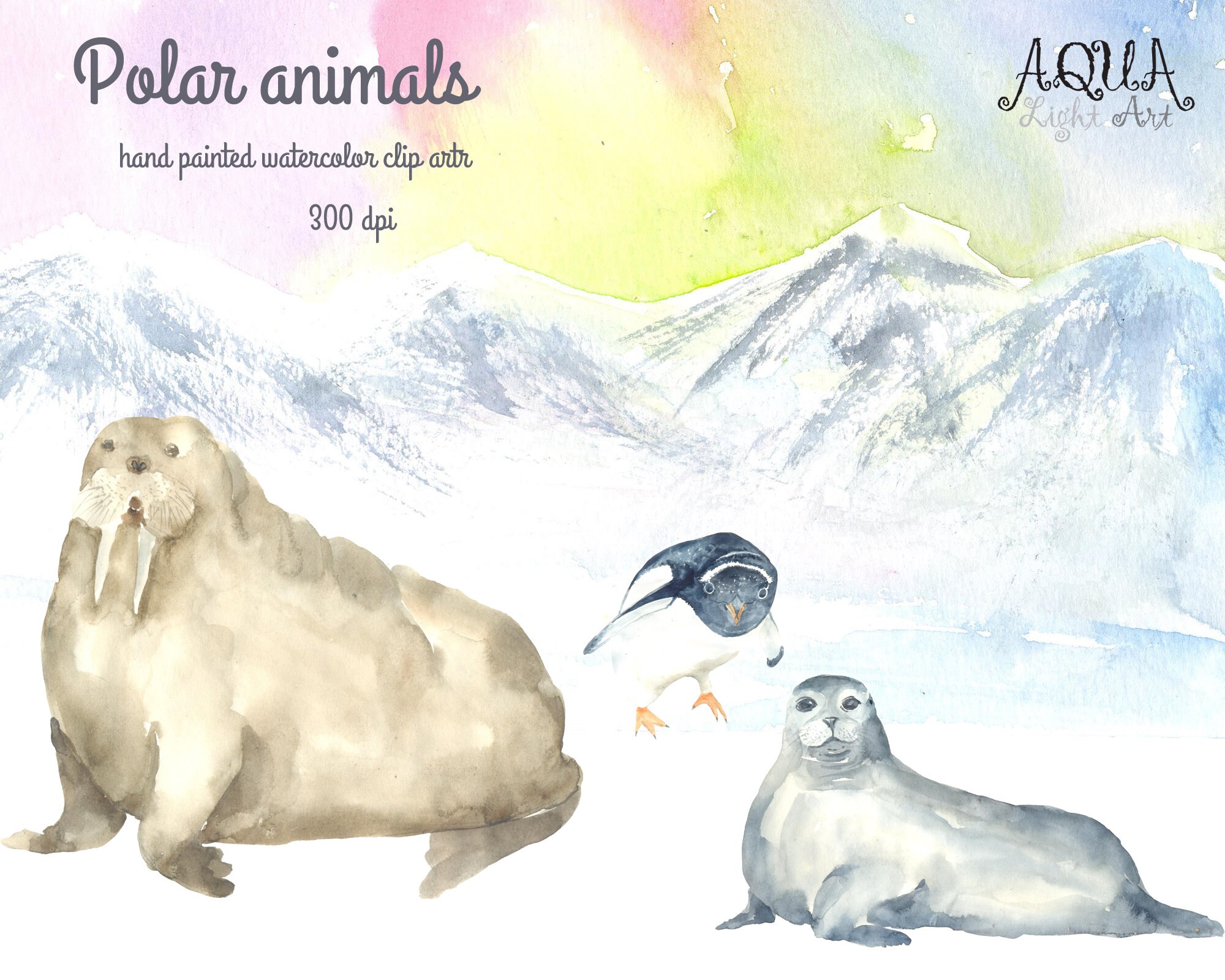 Watercolor Clipart Hand Painted Polar Animalspolar Bear - Etsy