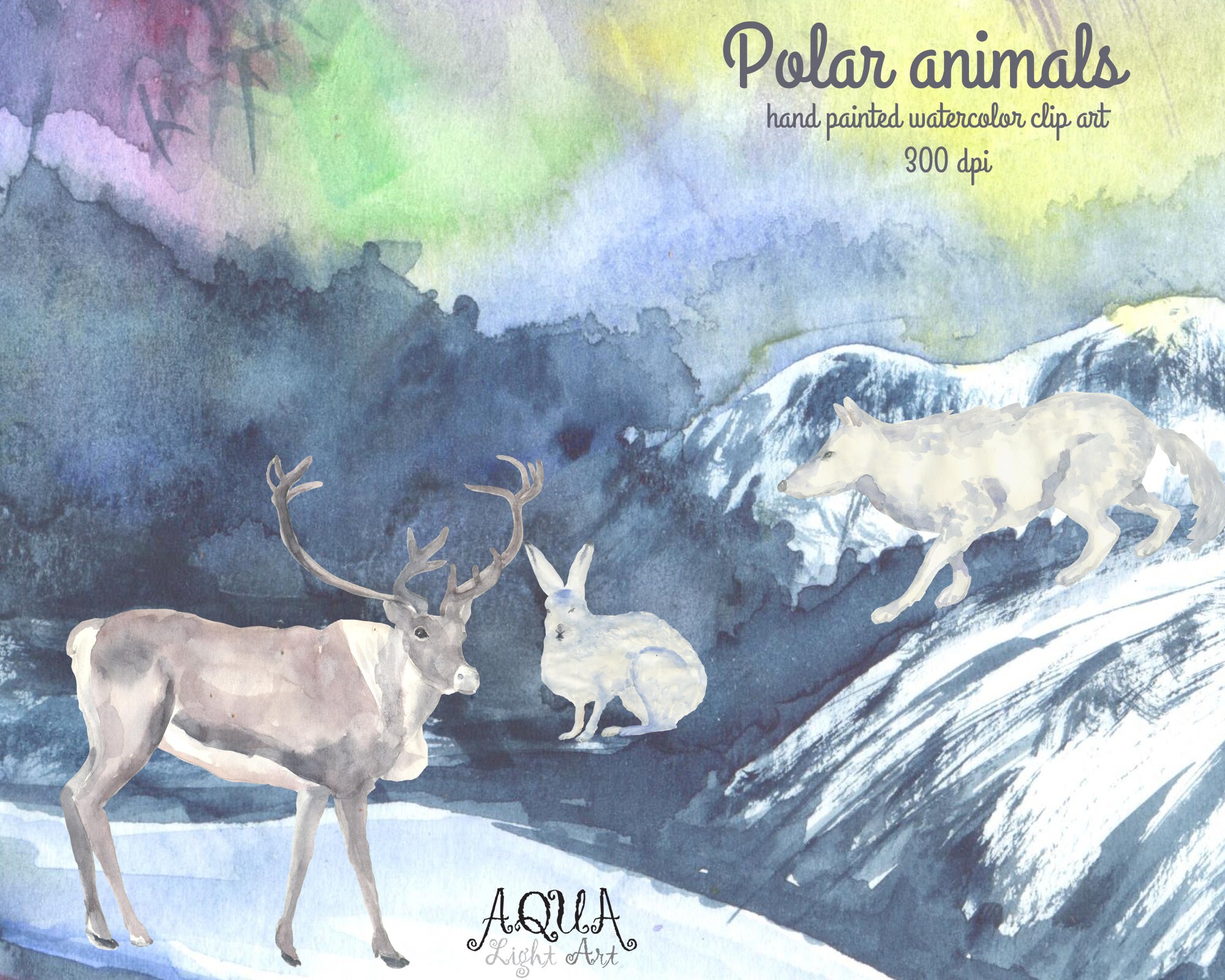 Watercolor Clipart Hand Painted Polar Animalspolar Bear - Etsy