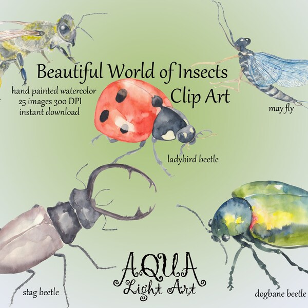 Garden Bug Clipart - Etsy