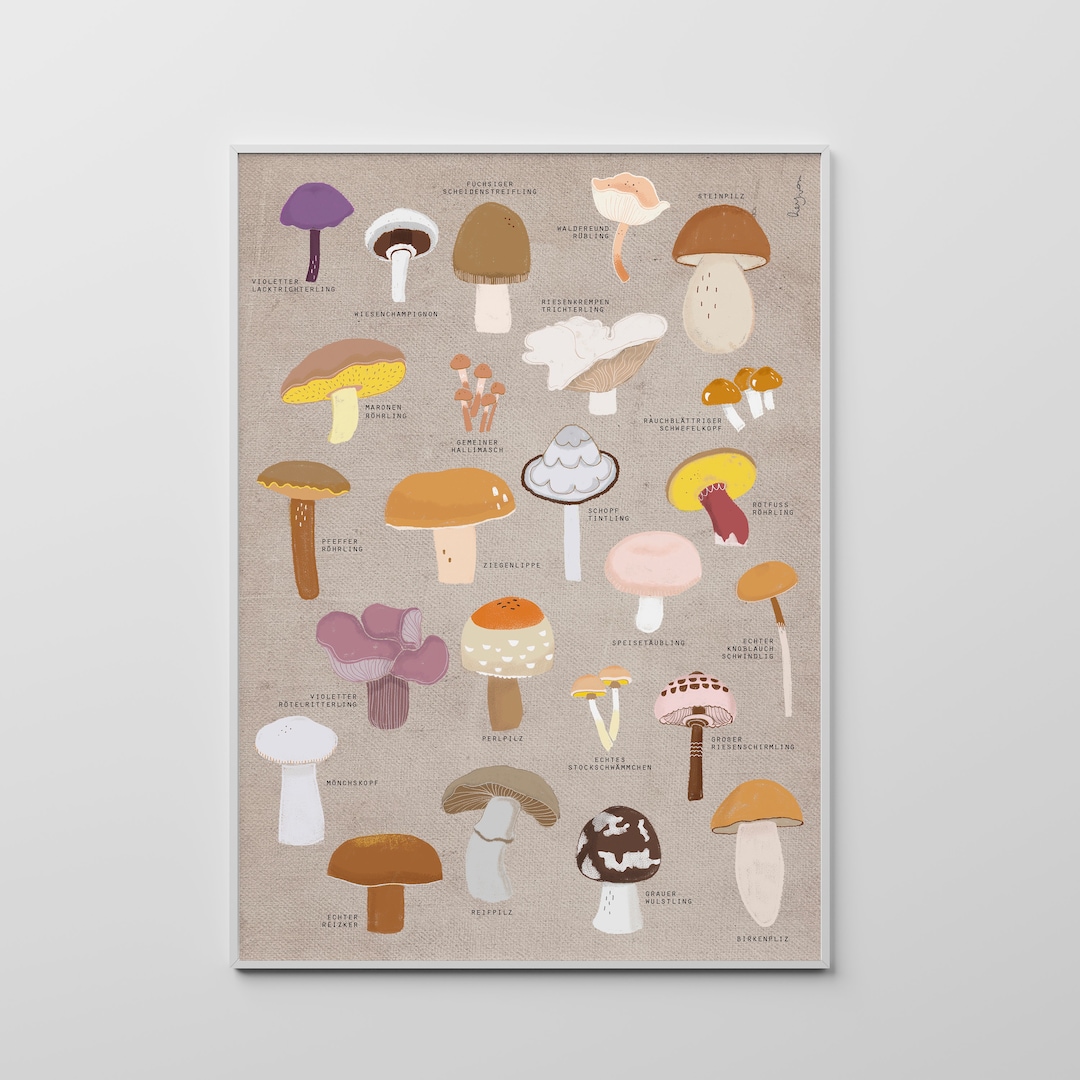 Print Pilze Pilzposter Pilzsorten Essbar Natur Illustration Poster ...