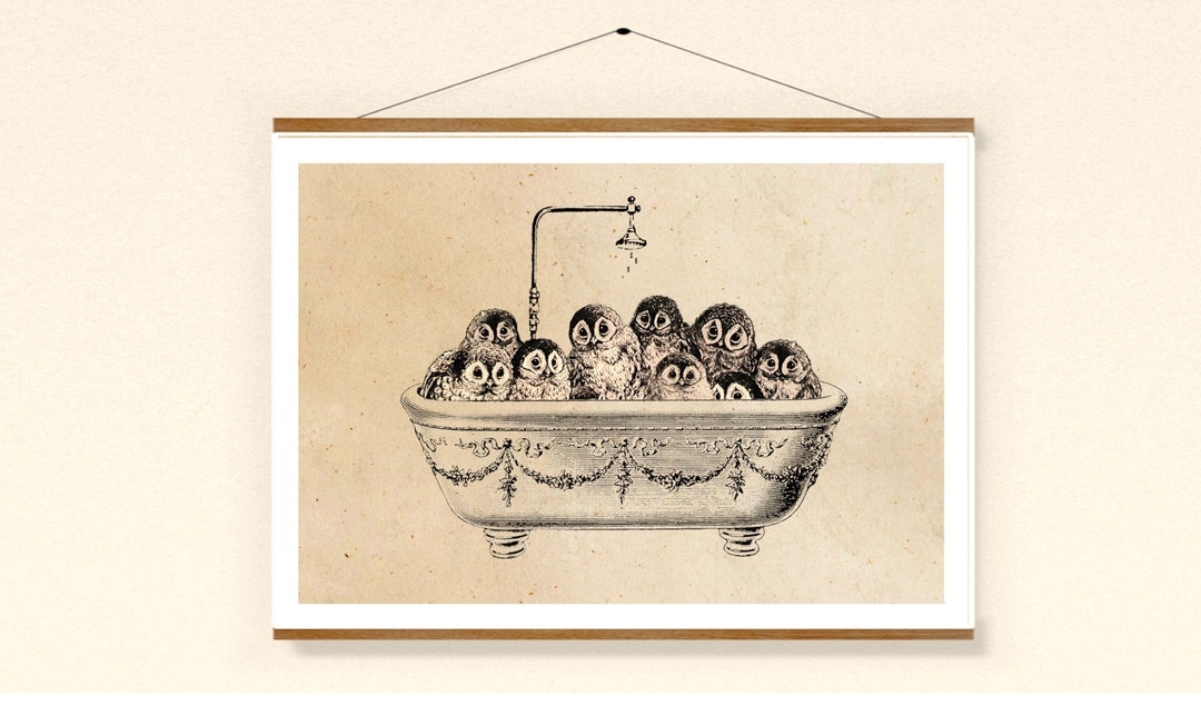 Vintage Print Owls Bathing Collage Poster Lexicon Wall Decoration ...