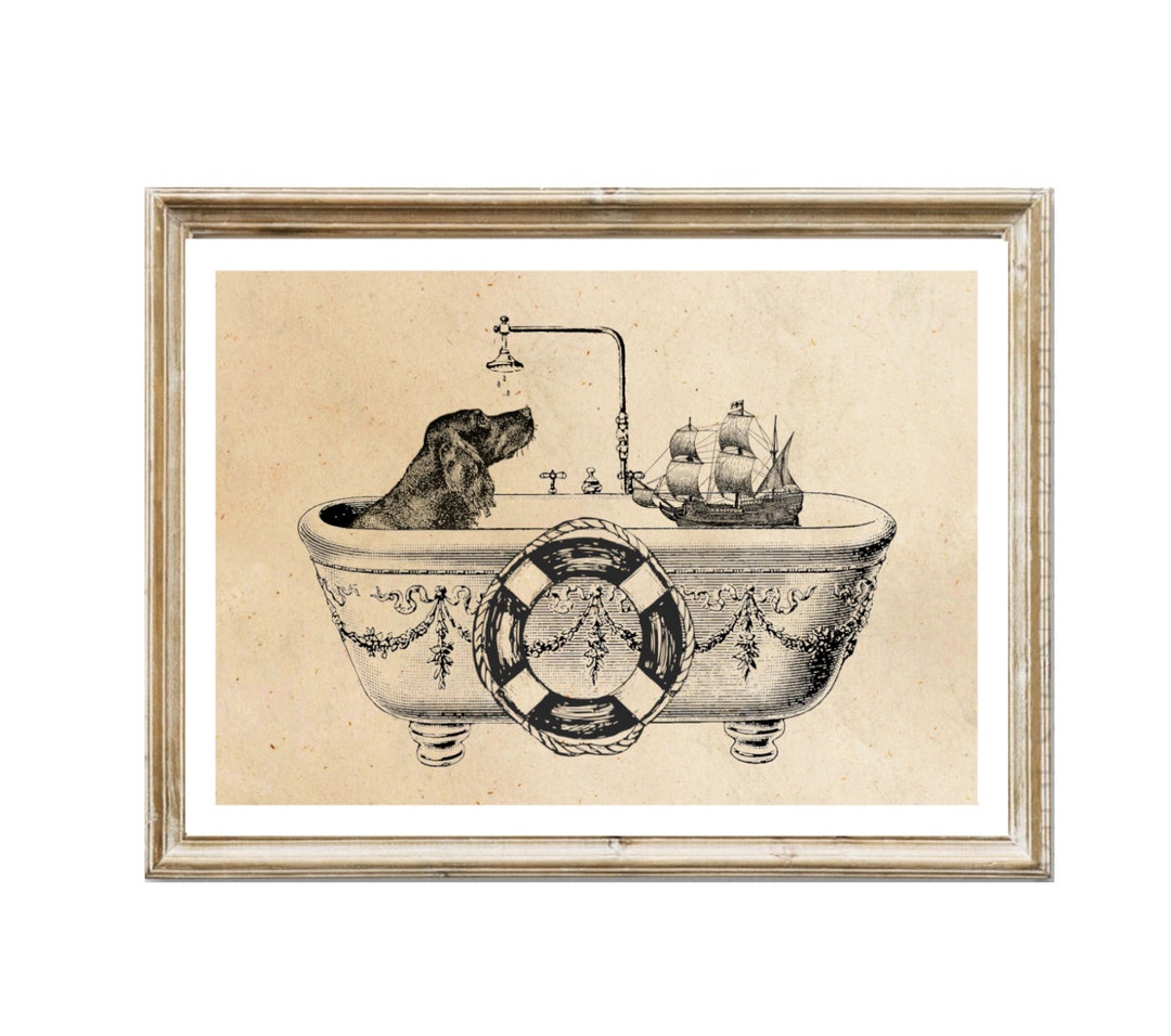 Vintage Print Setter Bathing Collage Poster Lexicon Irish Setter Wall ...