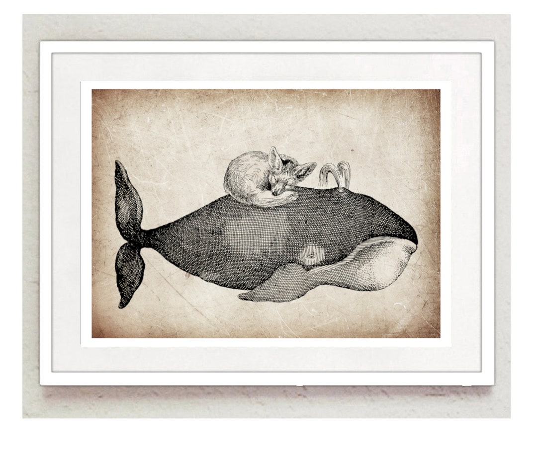 Vintage Print Fox and Whale Collage Poster Encyclopedia Wall Decor Dog ...