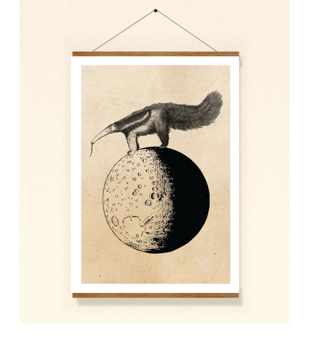 Anteater on the Moon Collage Poster Lexicon Wall Decoration Vintage ...