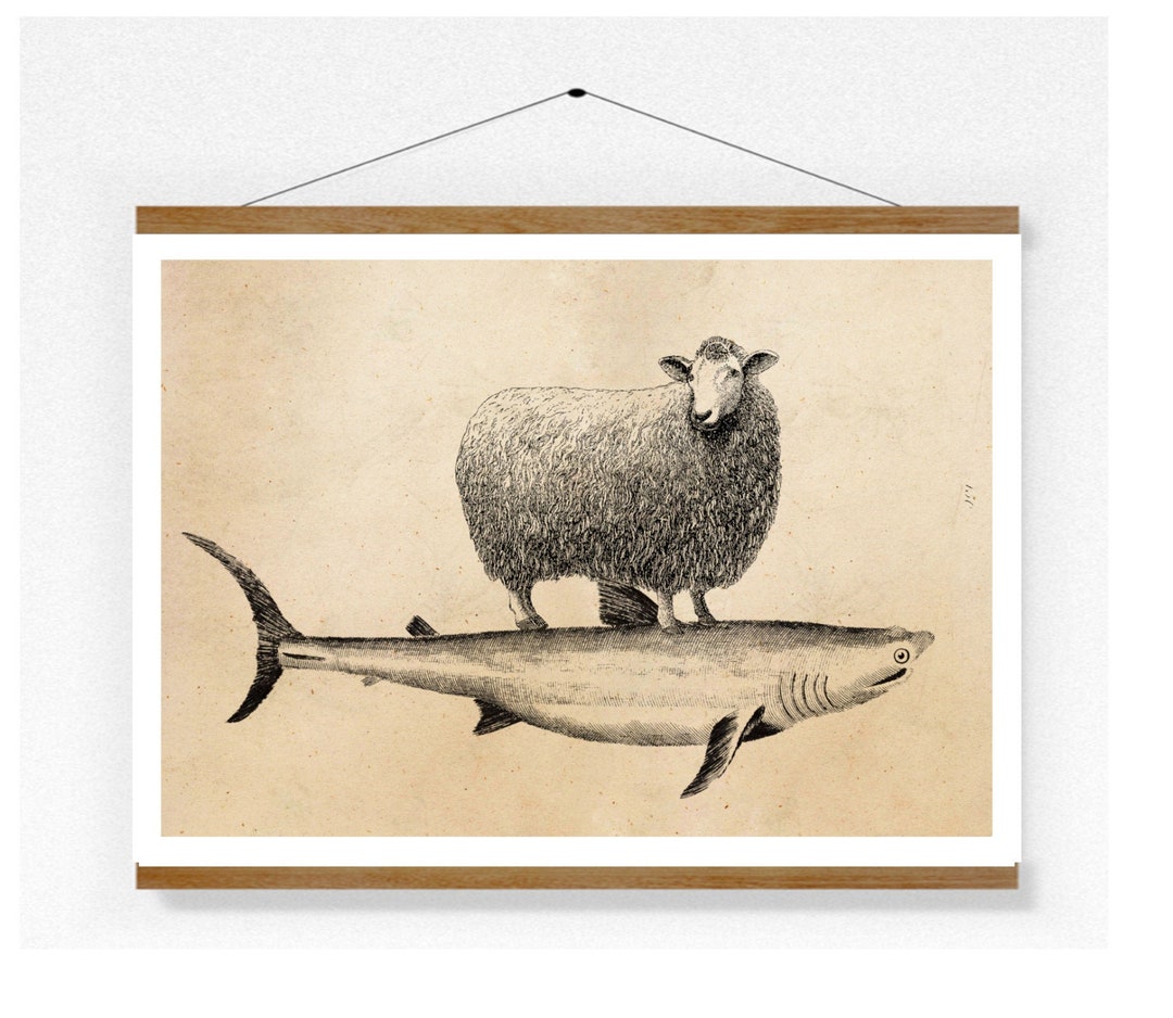 Vintage Print Sheep and Shark Surfing Sheep Collage Poster Lexicon Wall ...
