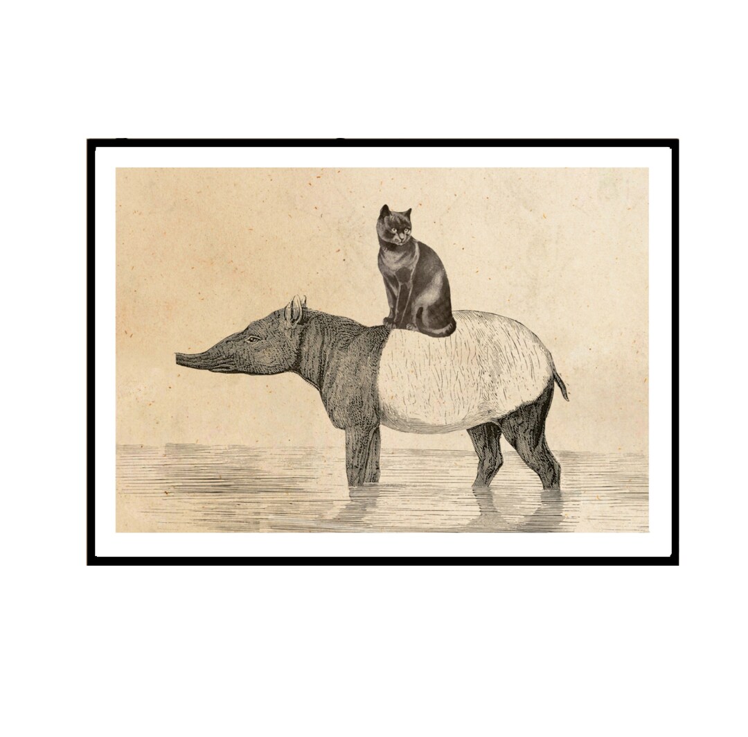 Vintage Print Cat and Tapir Collage Poster Lexicon Wall - Etsy