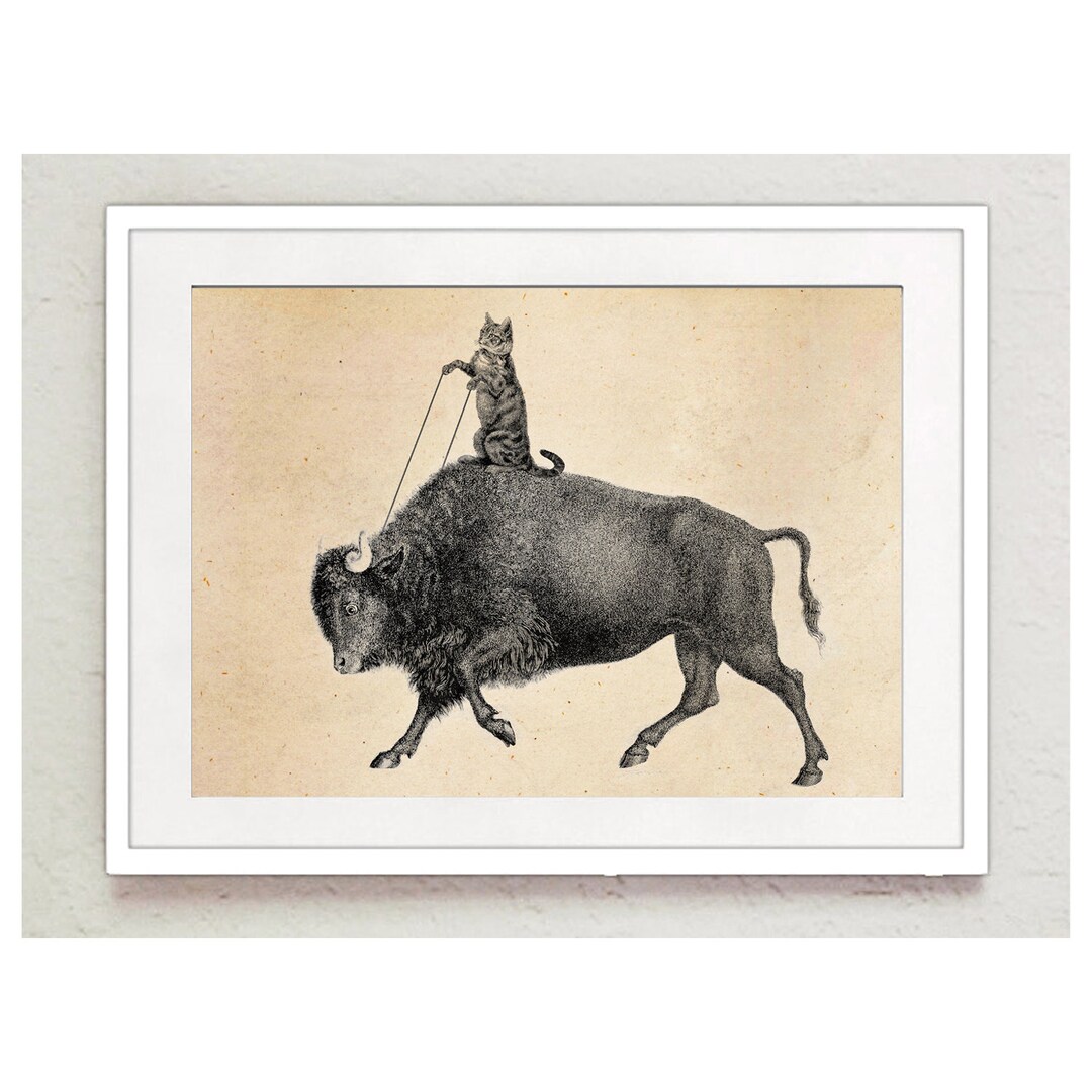 Vintage Print Cat and Bison Sundance Cat Collage Poster Lexicon Wall ...