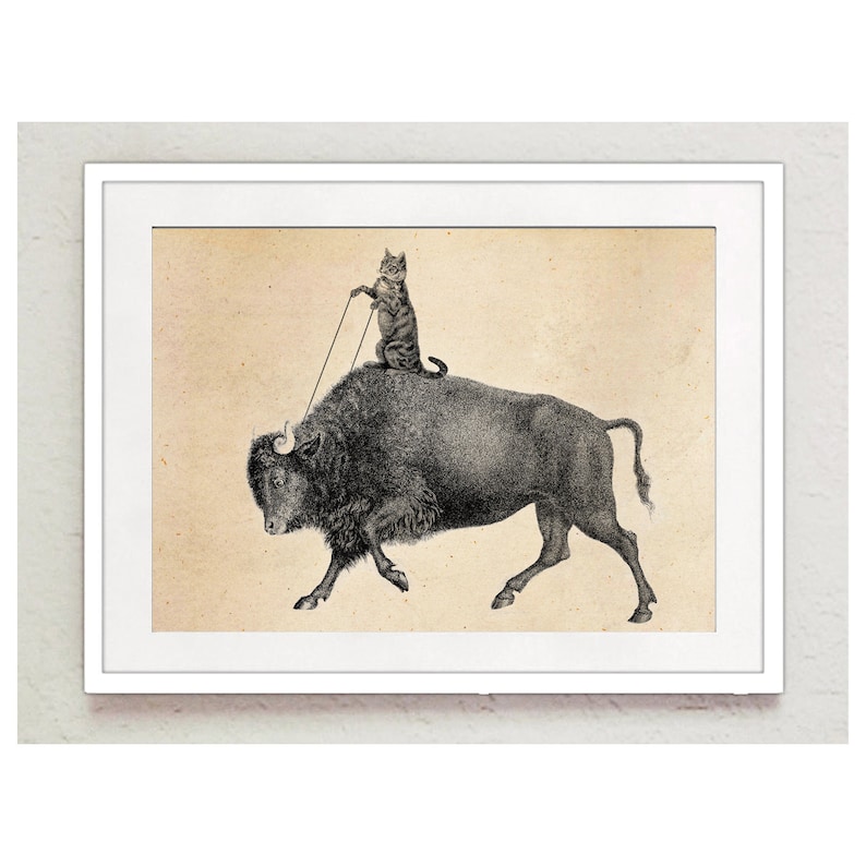 Vintage Print Cat and Bison Sundance Cat Collage Poster - Etsy