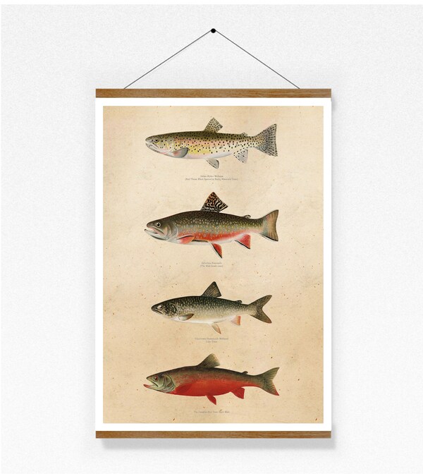 Vintage Fish Print Fishing Wall Art Coastal Wall Art - Etsy