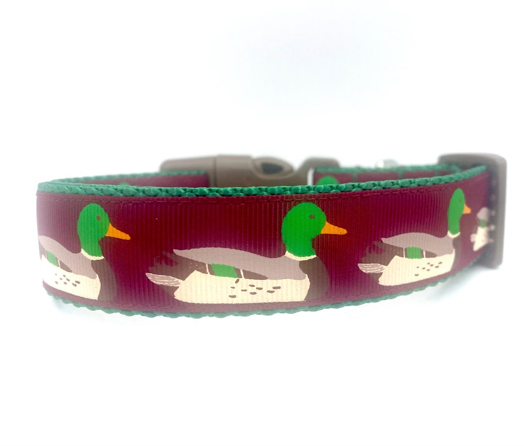 Mallard Duck Hunt Dog Collar - Etsy