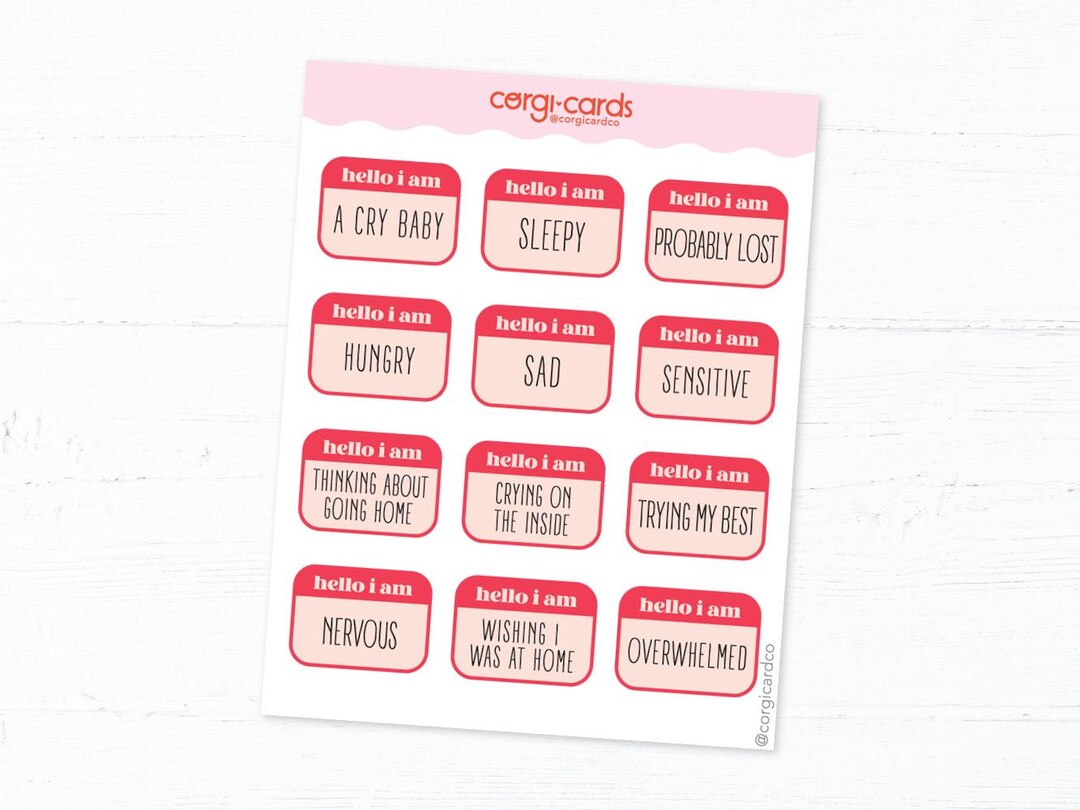 Funny Name Tag Stickers - 12 Sticker Sheet - Etsy