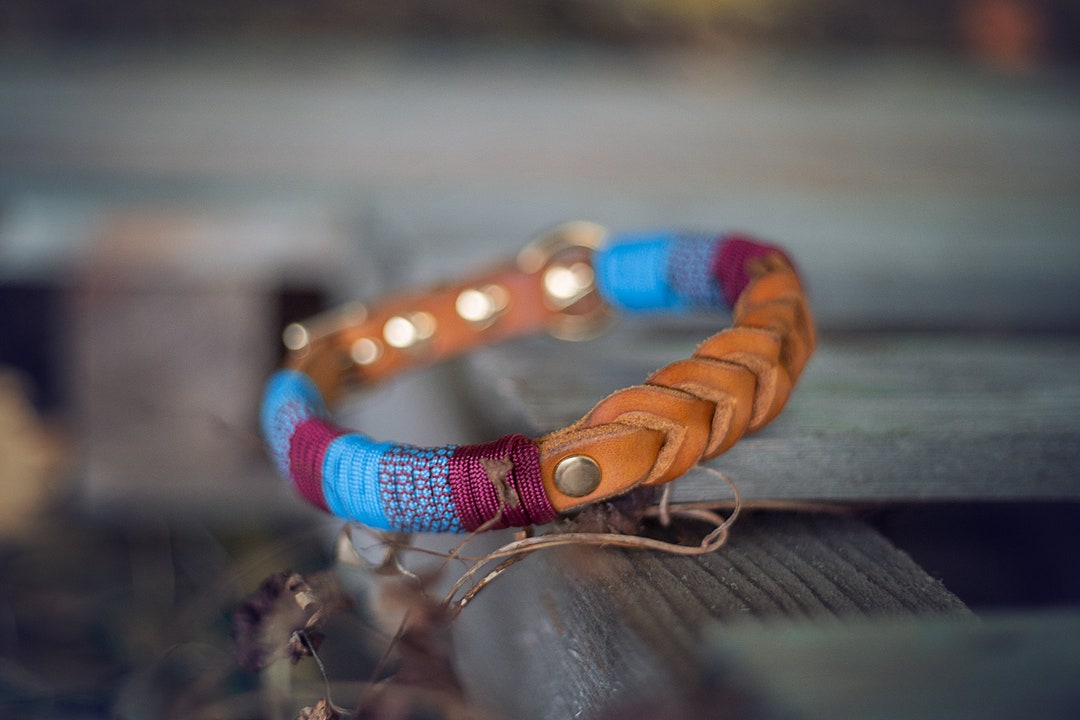 Collar YUKI Leather Collar for Dogs With Braided Elements and Paracord ...