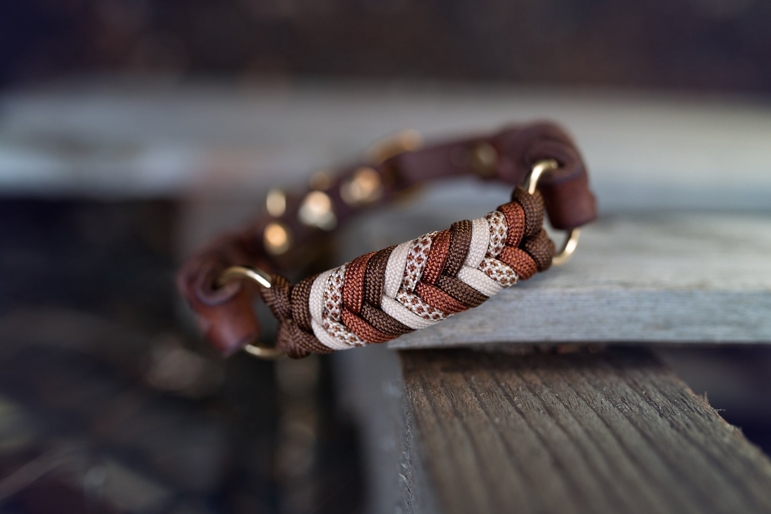 Collar PINA Leather Collar for Dogs With Paracord Braiding - Etsy