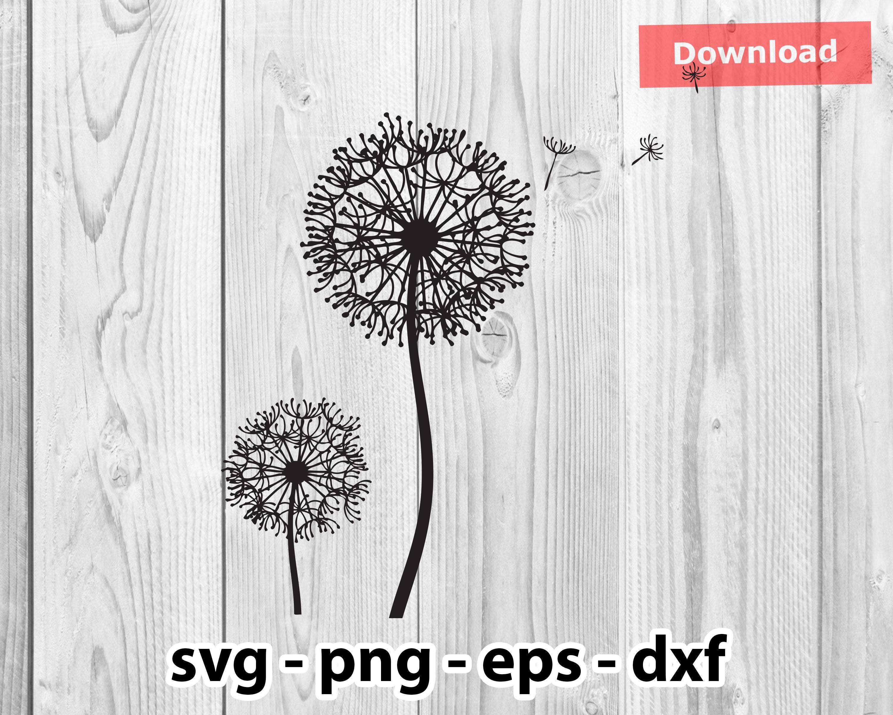 Dandelions Flower Svg Png Dxf Eps Instant Download for Print - Etsy