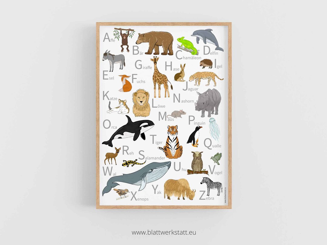ABC Animal Poster, 50 X 70 Cm, Printed, Without Frame - Etsy