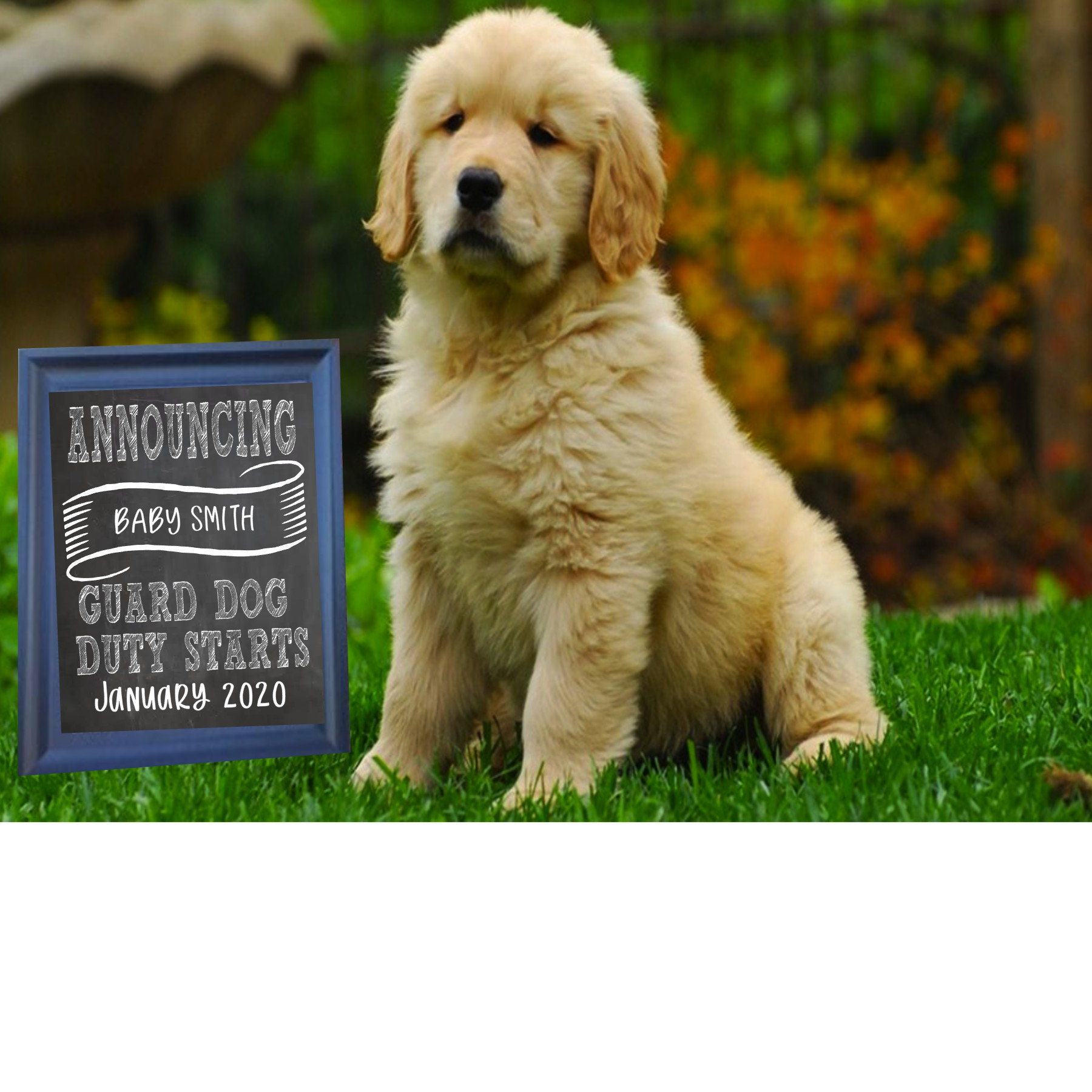 PRINTABLE Announcing Baby Guard Dog Duty Chalkboard Pregnancy ...