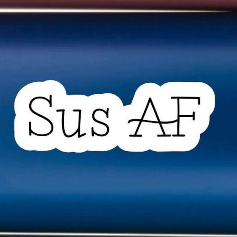 Sus Stickers - Etsy