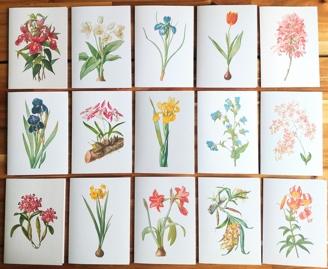 Flower Greeting Card Pack 15 Vintage Botanical Cards Floral Blank ...