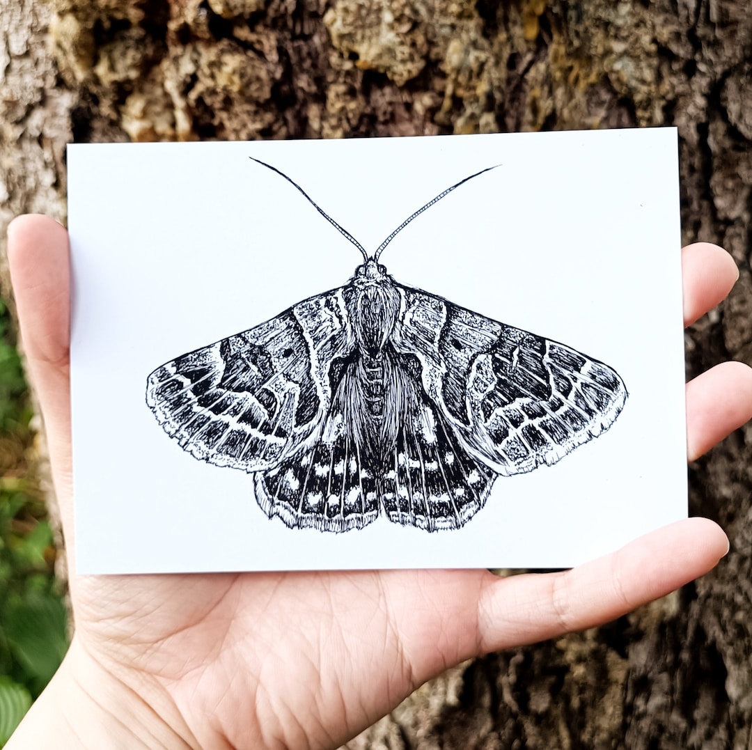 Mother Shipton Moth - Mini Print - Etsy