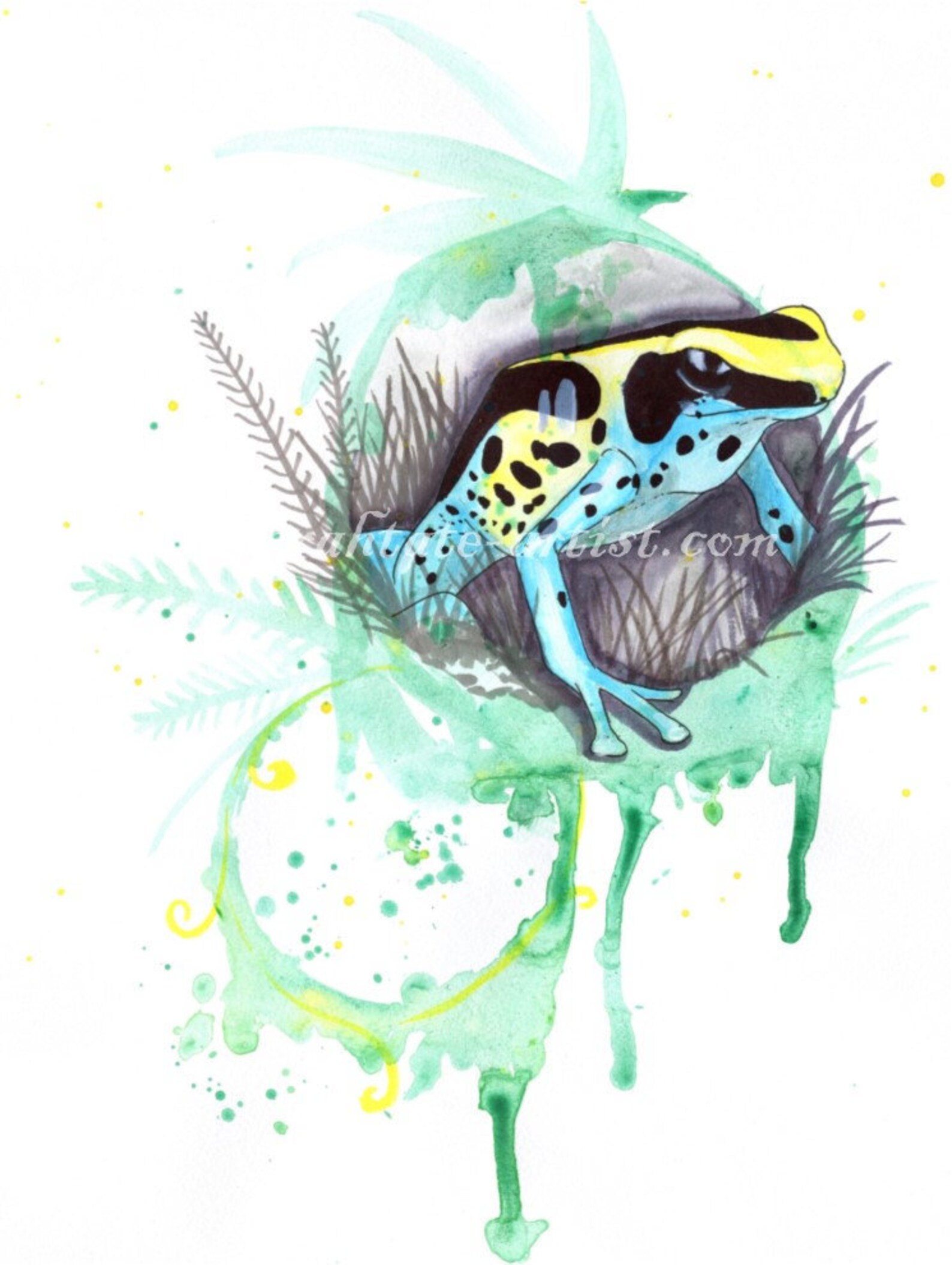 Poison Dart Frog Signed A4 Print Amphibian Artwork Dendrobates - Etsy