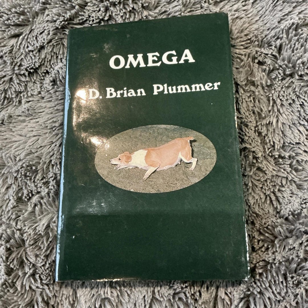 D. Brian Plummer Omega 1st Edition 1984 Hard Back Rare Collectable ...