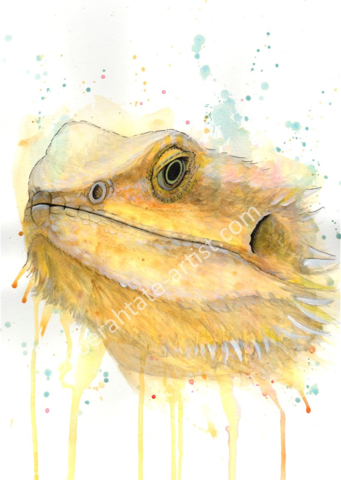 Bearded Dragon Water Colour Print Signed Splatter Art Reptile | Etsy