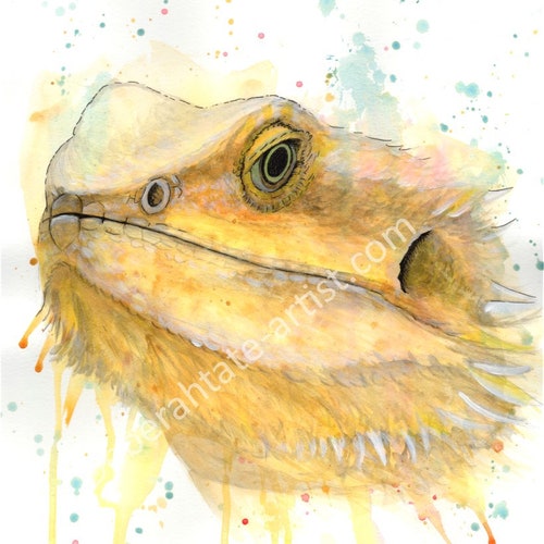 Bearded Dragon Water Colour Print Signed Splatter Art Reptile | Etsy