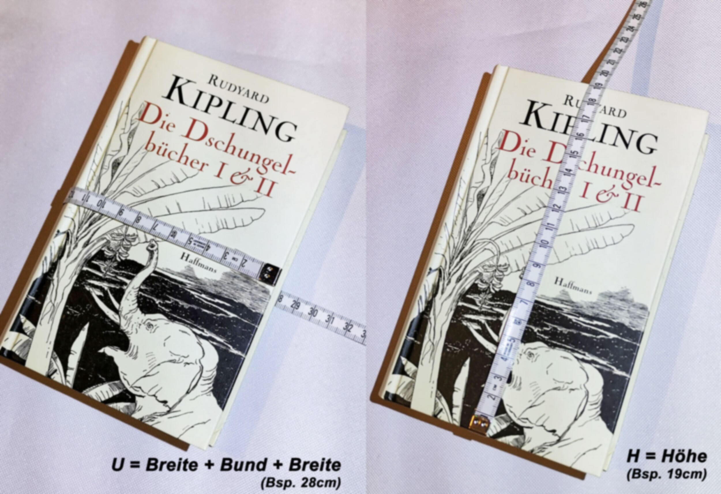 Pisces Jesus Fish Binding Praise of God Bible Hymnal Cover - Etsy