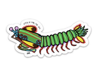 Mantis Shrimp Holographic Sticker, Shrimp Sticker, Ocean Sticker, Vinyl ...