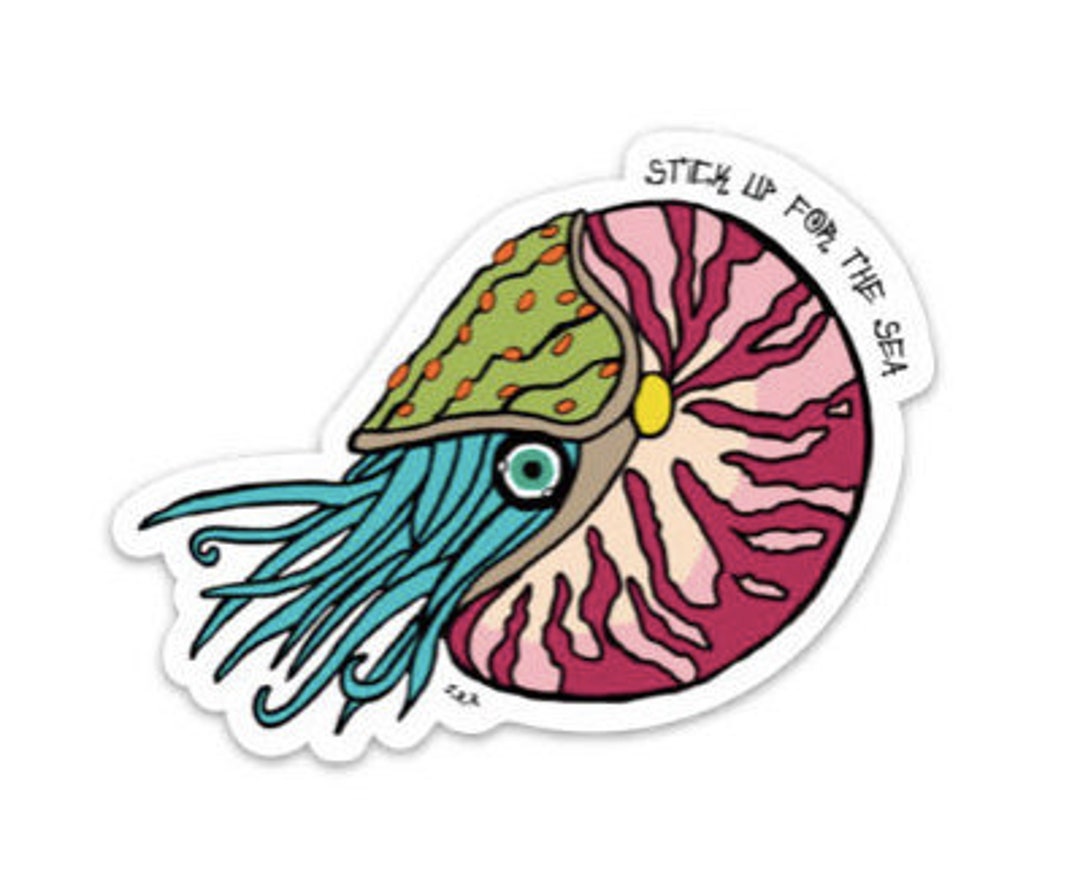 Chambered Nautilus Sticker - Etsy