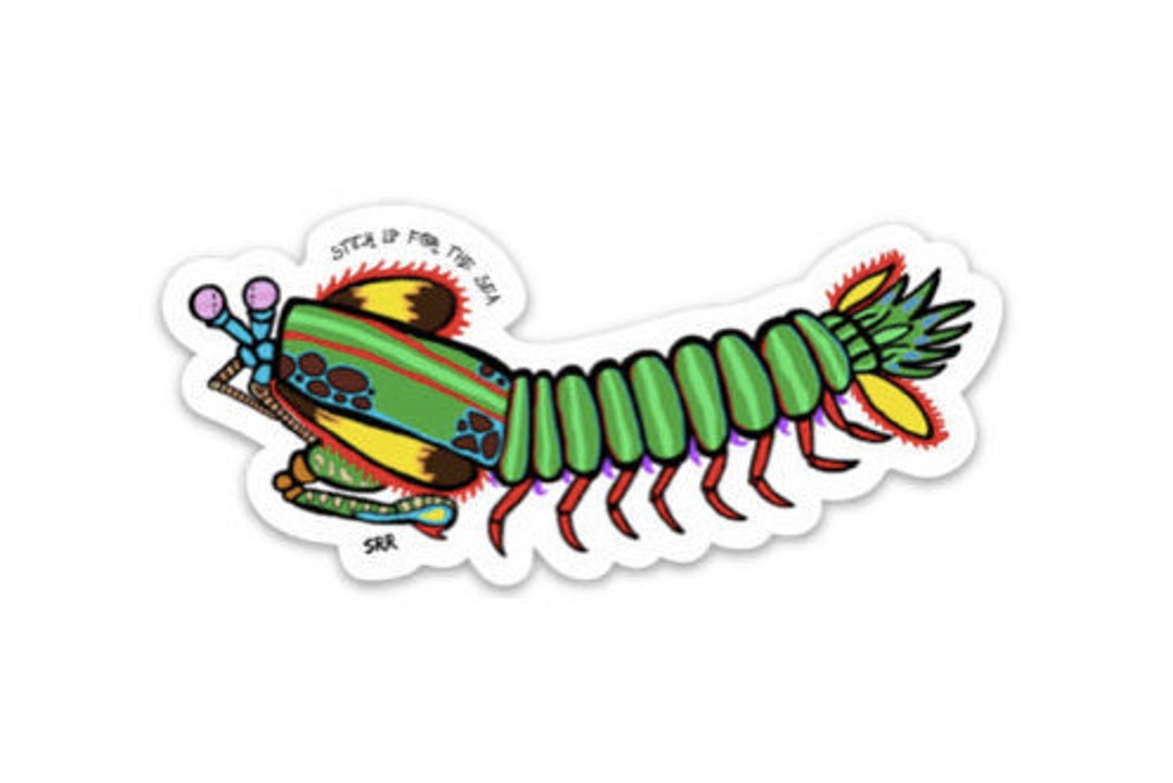 Mantis Shrimp Sticker - Etsy