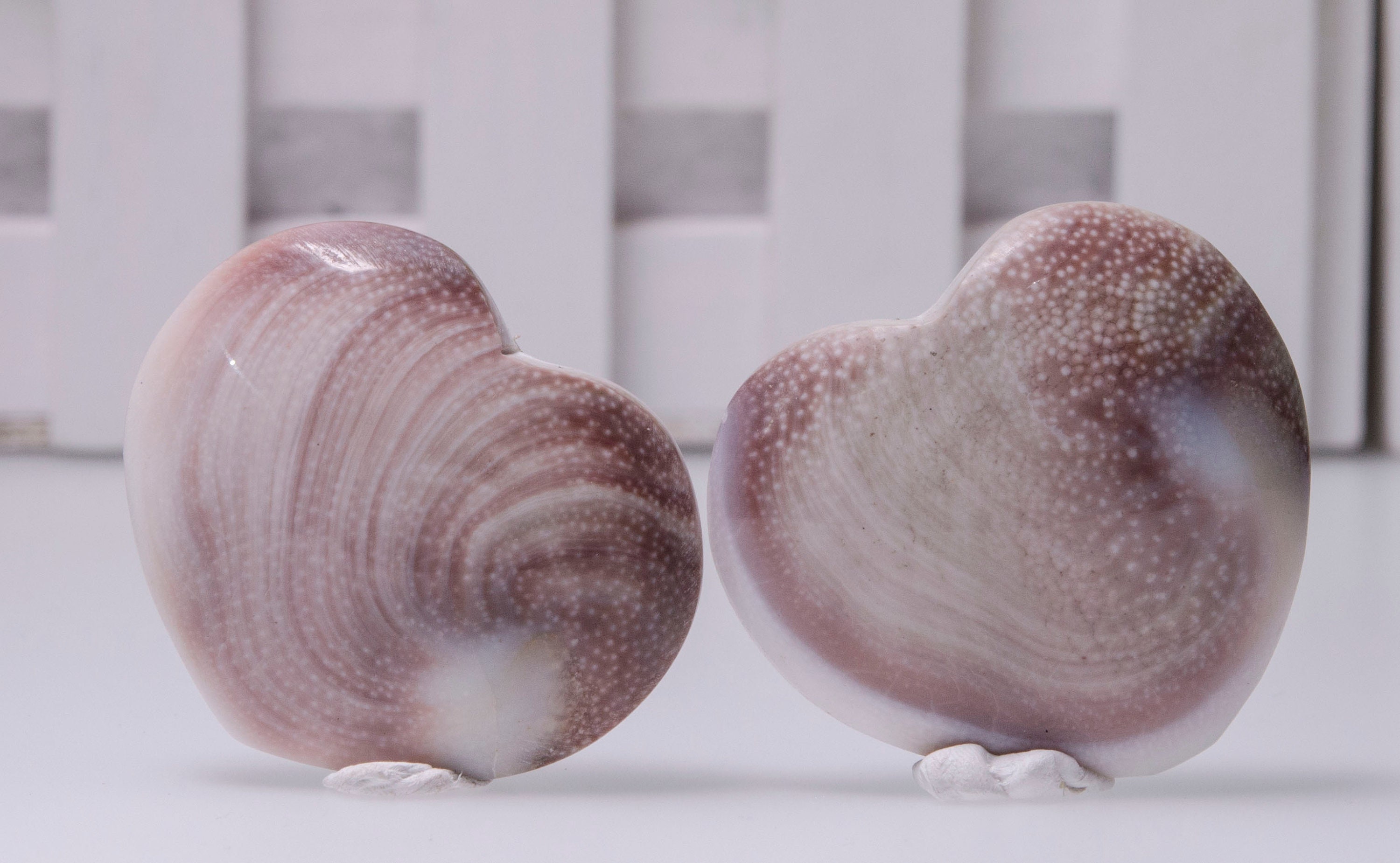 A Couple Of Ocean Stone Heart Beautiful Natural Gemstone Love | Etsy