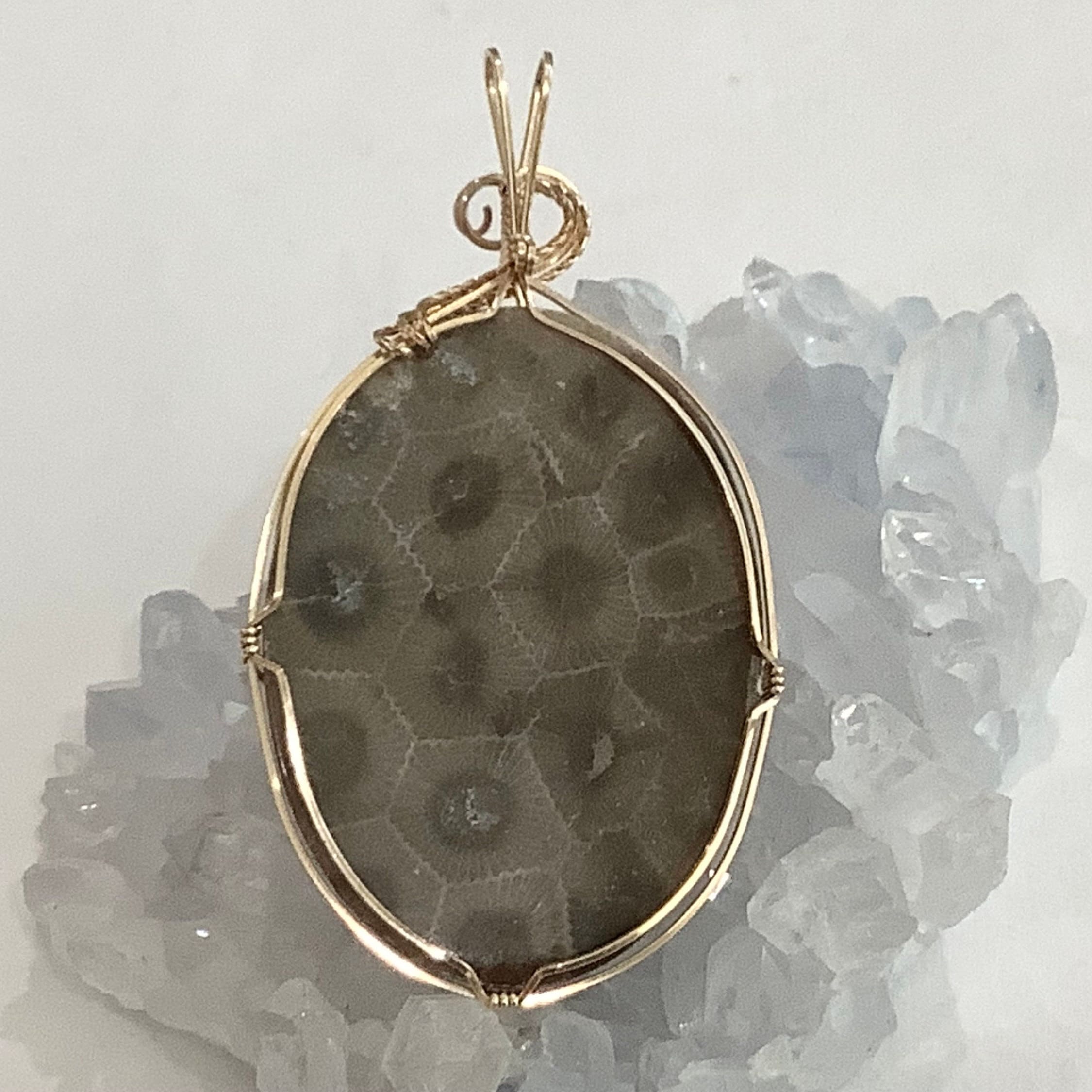 HUGE Petoskey Stone Pendant With Dark Eyes 362, Set in Gold. Michigan ...