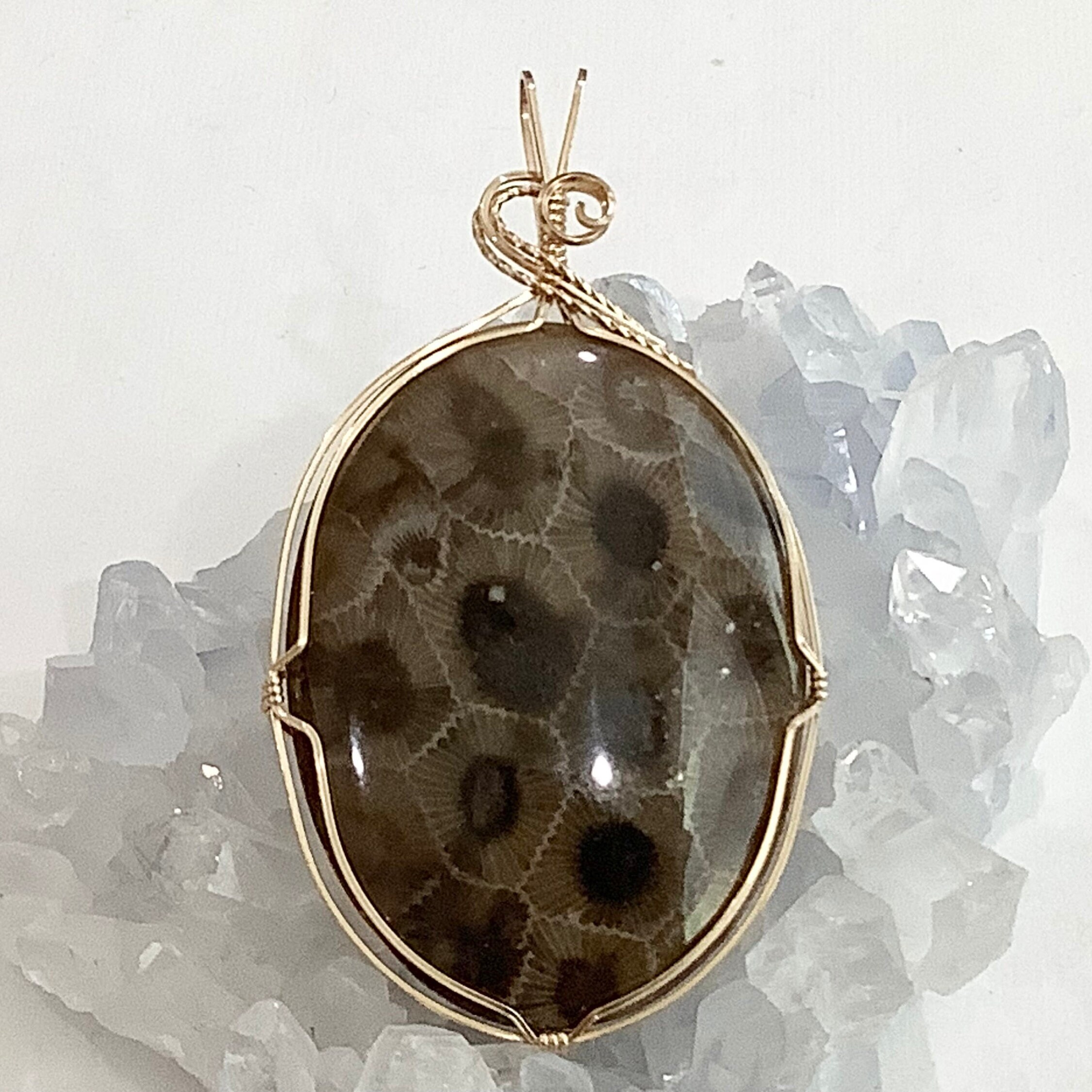 HUGE Petoskey Stone Pendant With Dark Eyes 362, Set in Gold. Michigan ...