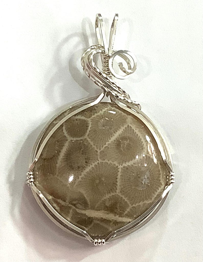 Small Well-defined Fossilized Coral Petoskey Stone Pendant. Michigan ...