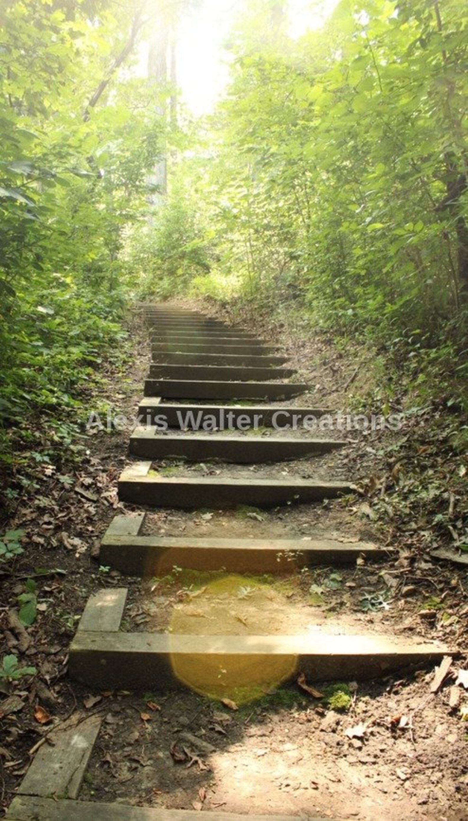 Digital Photo “hidden Path” - Etsy