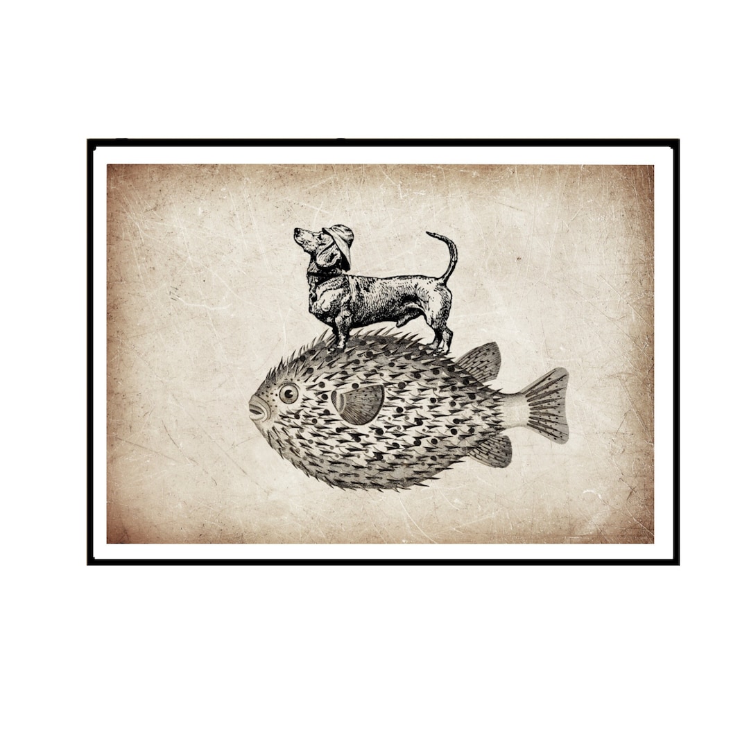 Print Dachshund and Puffer Fish Collage Wall Art Wall Decoration Poster ...